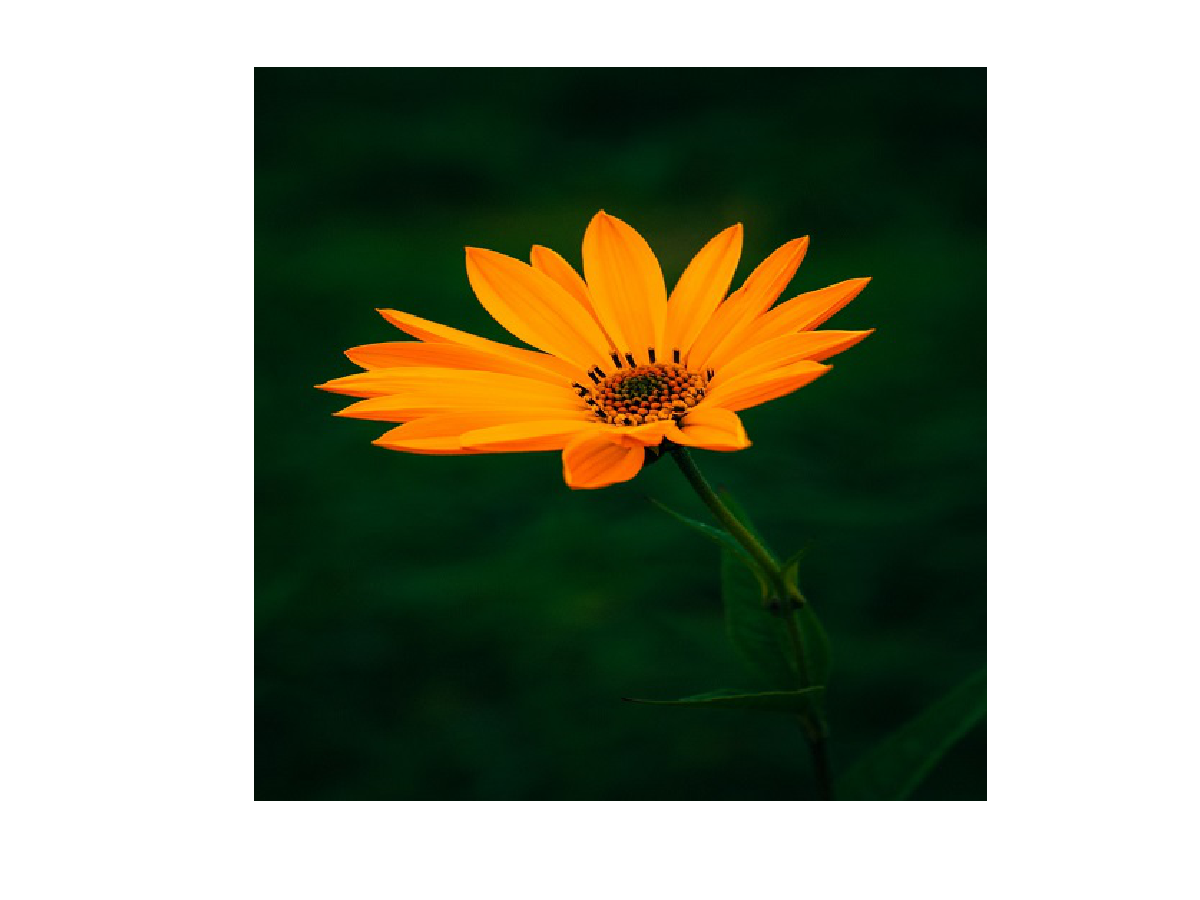 How To Modify Spatial Resolution Of A Grayscale Image In Matlab Tutorial Sheet